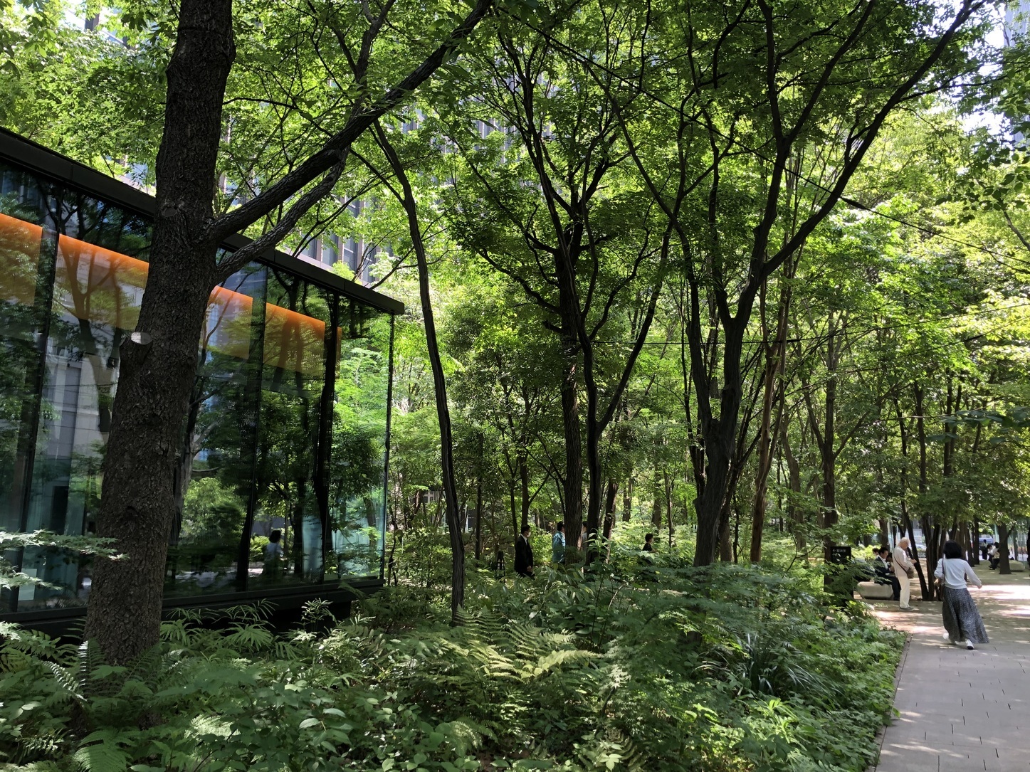 大手町の森 1: 根なし日乗